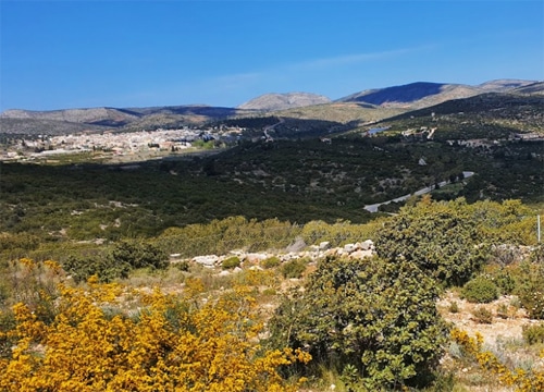 Chios island, information and travel guide 2024