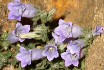 Nisyros, information and travel guide