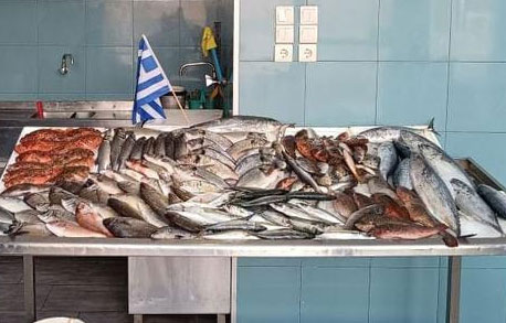 Greece, fishes, Greek fish species