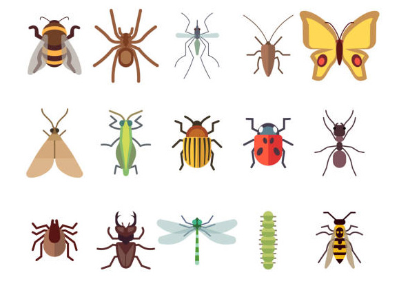 Insekterna i Grekland