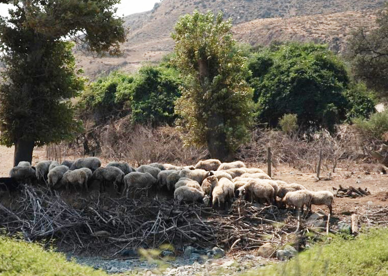 Samothrake, Upptäck Greklands mystiska Egeiska ö