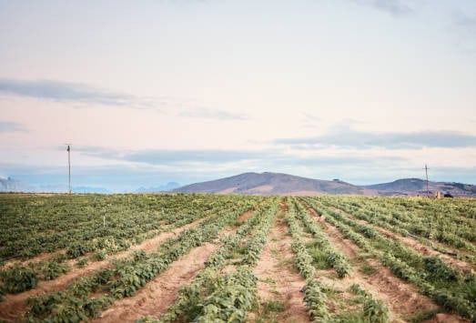 Natural Resources of Greece